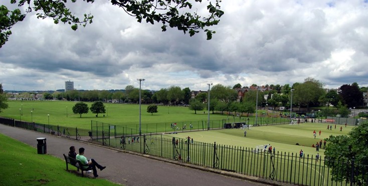 Stonebridge Regeneration: August 2013