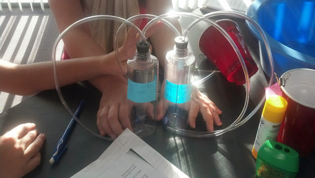 Science Rocks: Yates 2013-15: Circulatory System Model