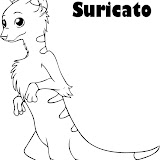 DIBUJOS DE SURICATOS PARA COLOREAR
