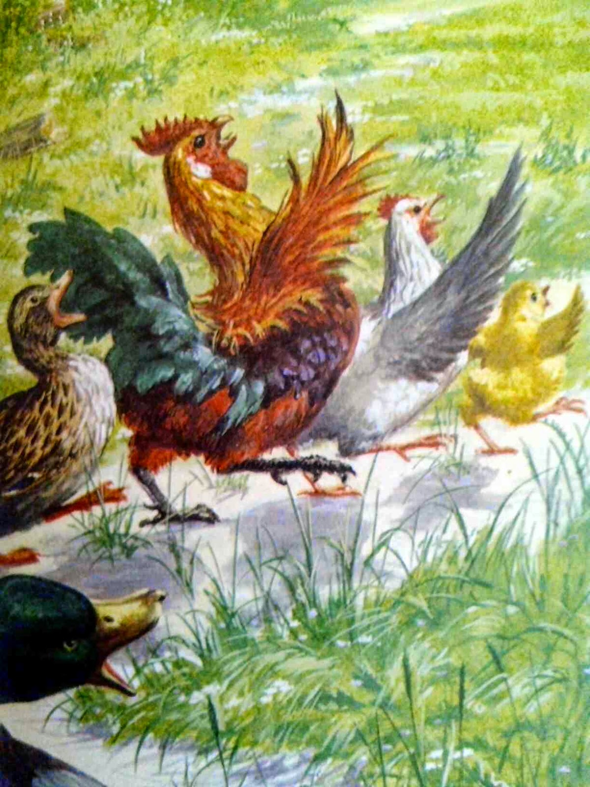 NALASJEBANG napak tilas jejak bangsaku: Buku "Well Loved Tales-Chicken ...