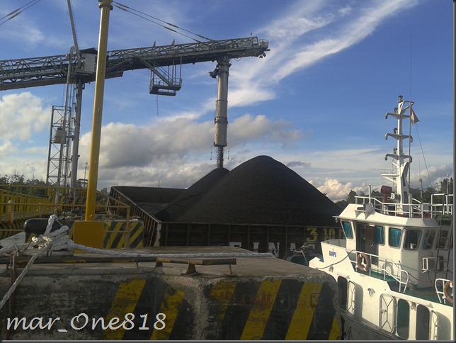 Marwan's Gallery: JETTY BANPU/TCM, BUNYUT