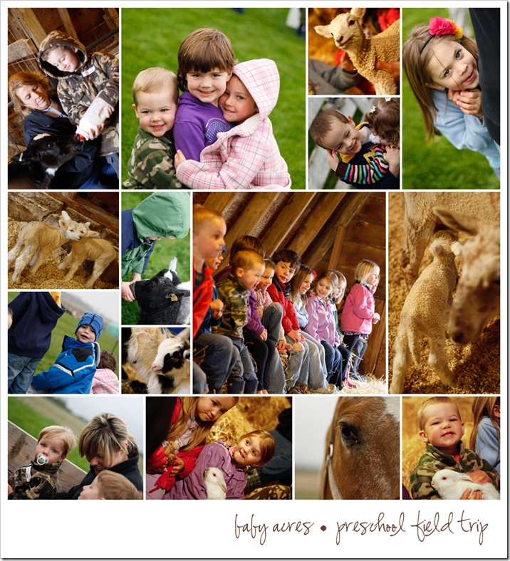 Lambs, Calves & Kids…oh my! | Simply Bloom Co.