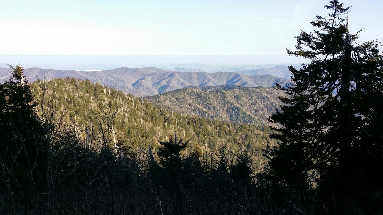 Joe @ Appalachian Trail 2014: 23.4. Tag 15 Double Spring Gap Shelter ...