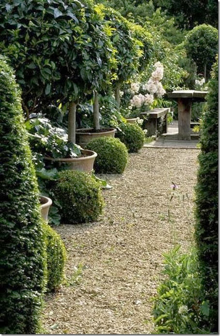 All in the Detail: a beautiful topiary