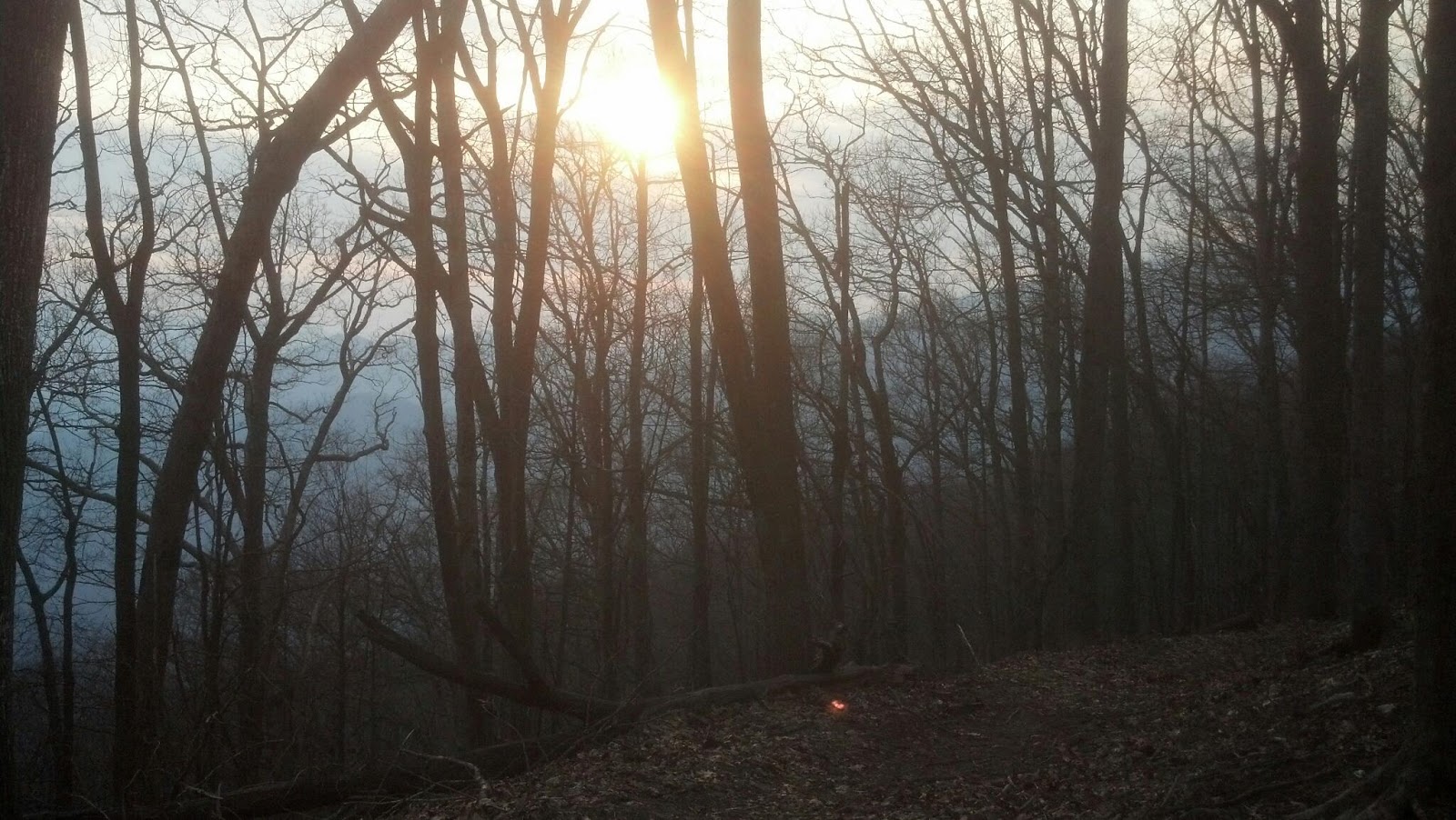 Appalachian Trail 2013: April 10 (Day 24) - Birch Spring Gap to Derrick ...