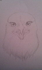 Imaeko's Artage Blog - The Art and Designs of Megan Cowley