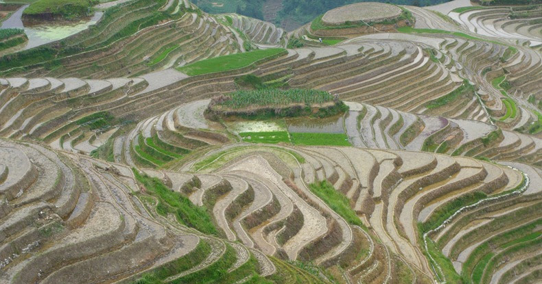 Beautiful Pictures of Rice Terraces | Amusing Planet