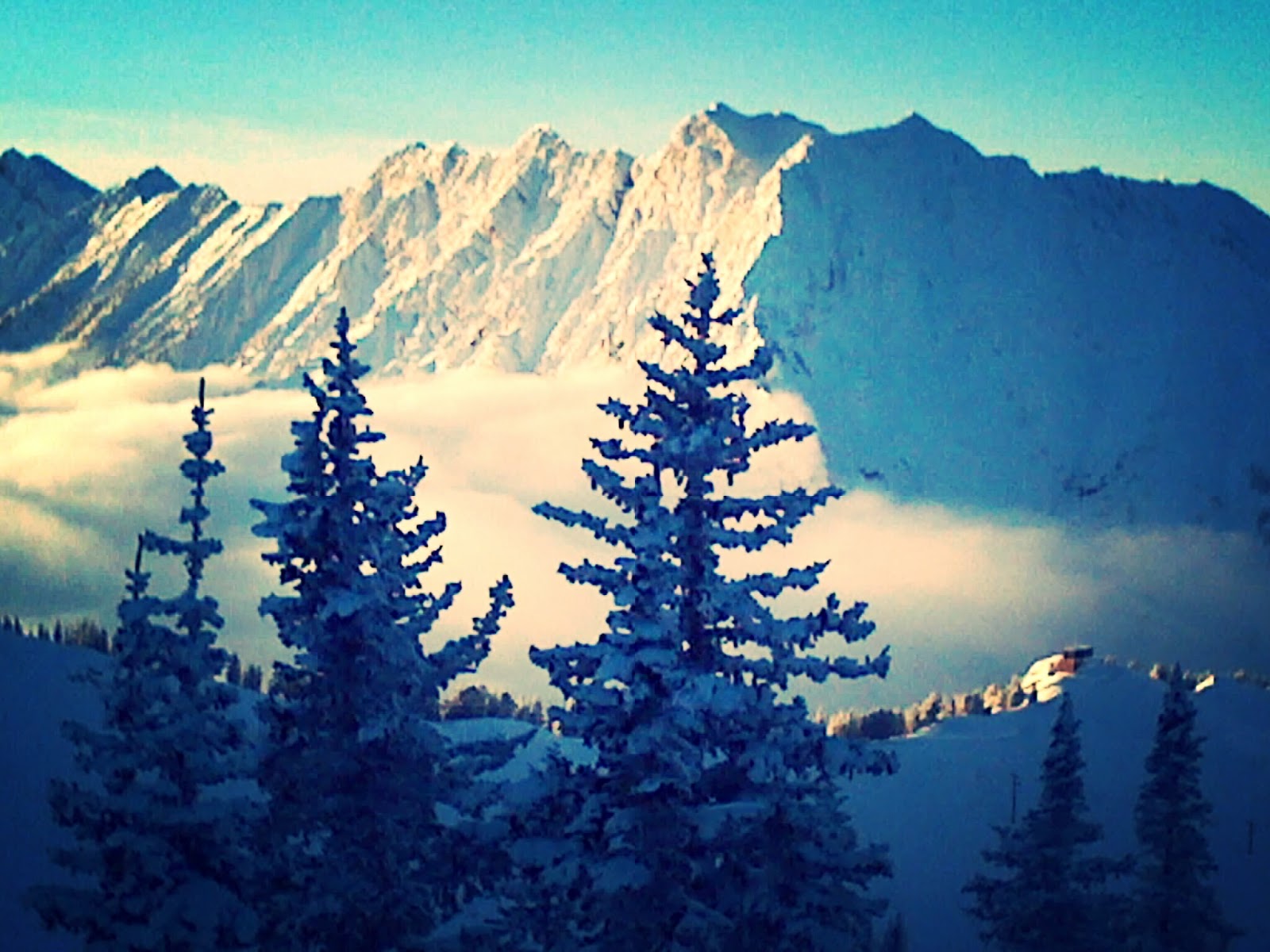 Kristi Brailsford PhotographY: Winter at alta