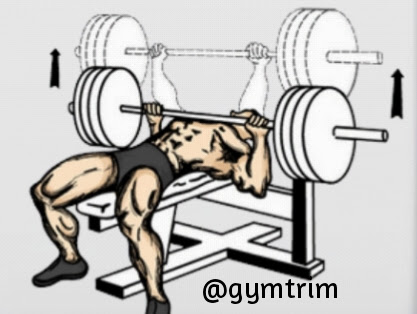 GYMTRIM: WORKOUTS TO GAIN CHEST IN HOME GYM