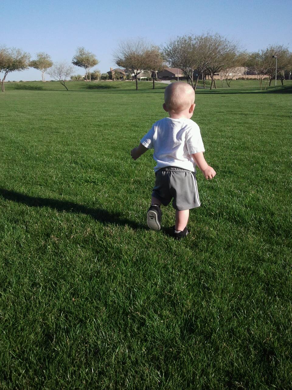 The Miller Scoop: Chasing Chase