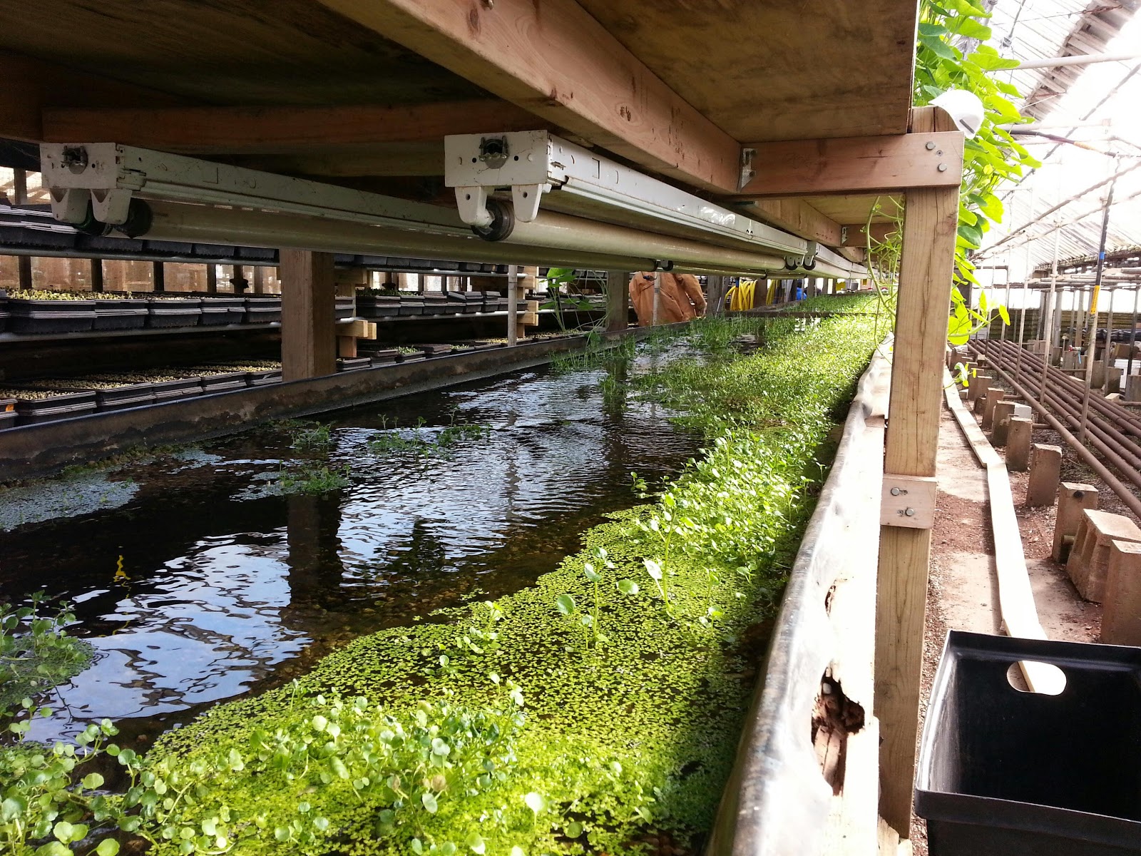 Urban Gardening Initiative: Growing Power tour in Milwaukee, Wisconsin!