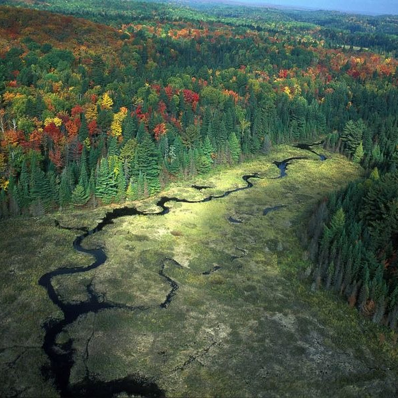 Algonquin Provincial Park, Canada in Autumn | Amusing Planet
