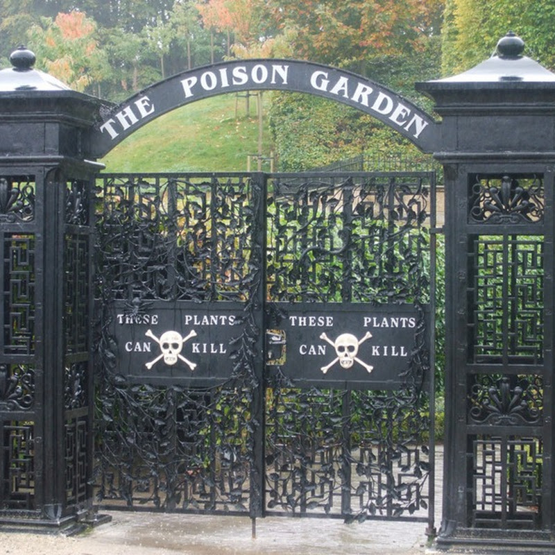 Alnwick Poison Garden | Amusing Planet