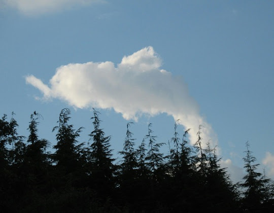 Hidden Unseen Clouds Look Like Things