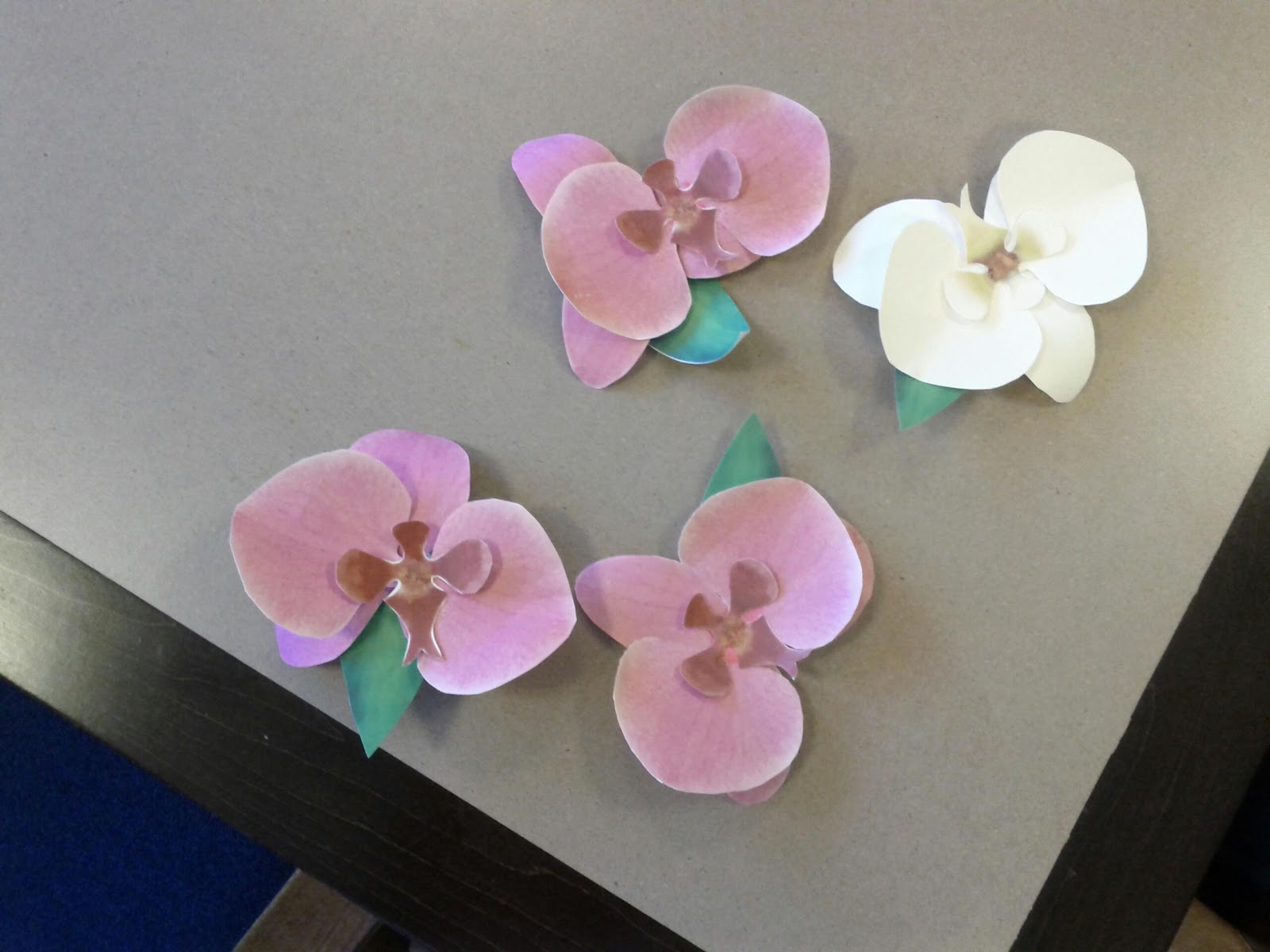 Activity Director : Paper Orchid