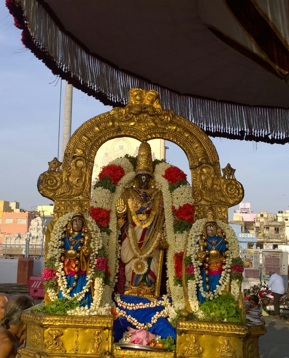 Parthasarathy: Ani shravanam Sri parthasarathy utsavar purappadu