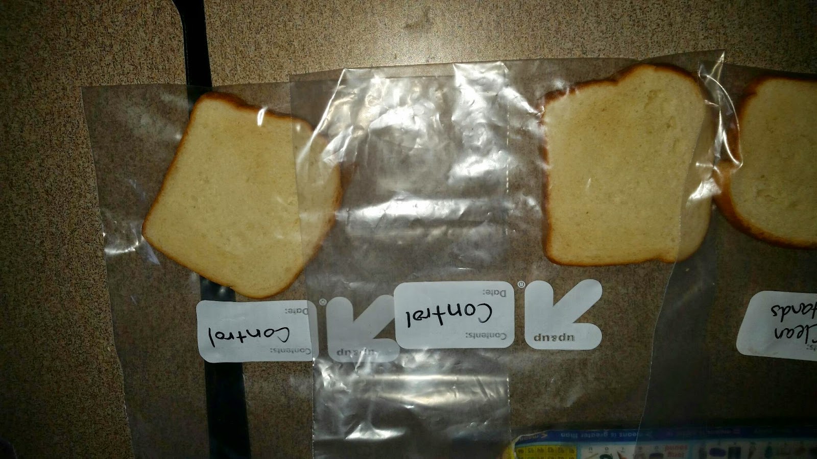 Mrs Gee Sclassblog Bread Experiment