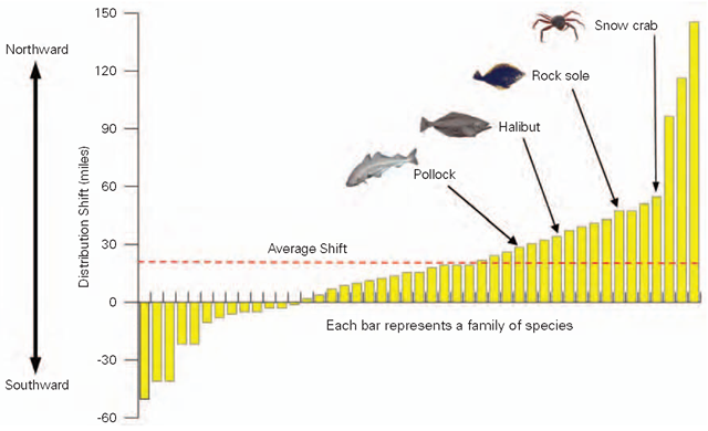 Graph of the Day: Shift of Alaska Marine Species Northward, 1982-2006 ...