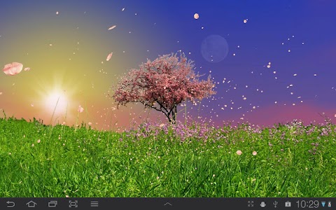 Spring Trees Live Wallpaper – Beautiful 24 hour live wallpaper with ...