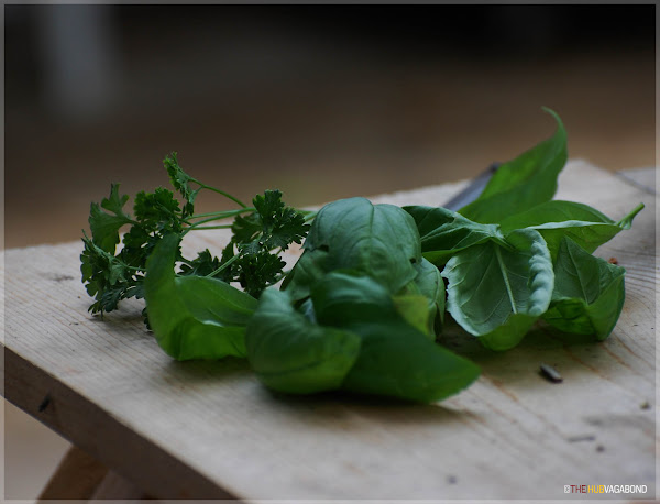 Basil | Project Noah