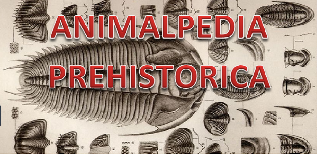 Prehistoric Animalpedia Wiki - Latest version 1.2.7 for Android App ...