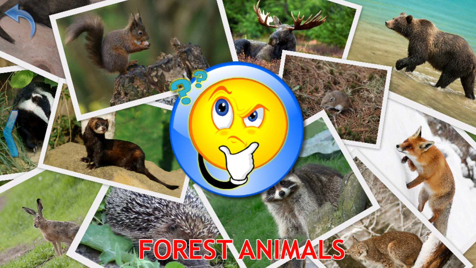 Kids Learn About Animals - Android Apps on Google Play