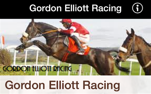 Gordon Elliott Racing – Gordon Elliott is a Racehorse Trainer based in ...