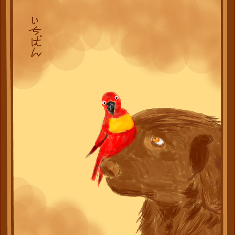 Bird and Dog » drawings » SketchPort