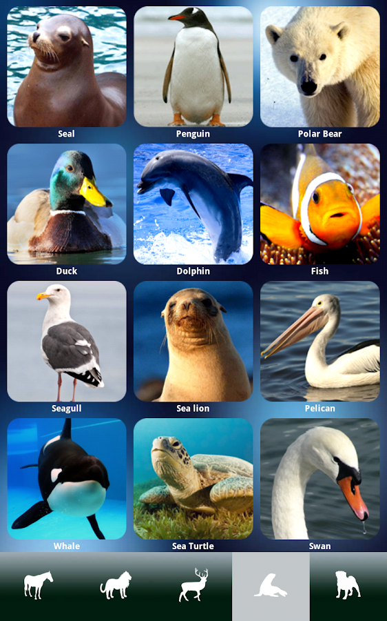 ZOOLA Animals - FREE - Android Apps on Google Play