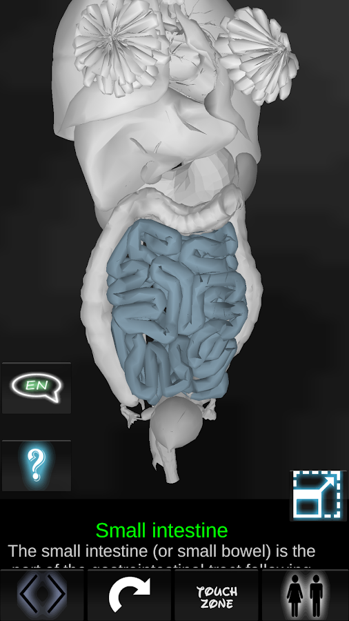 Organs 3D (Anatomy) - Android Apps on Google Play