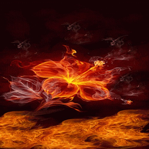 Flaming Flower Live Wallpaper - Latest version 1.2 for Android App ...