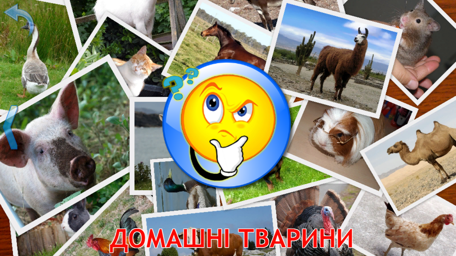 Тварини для Малюків (повна) – Програми Android у Google Play