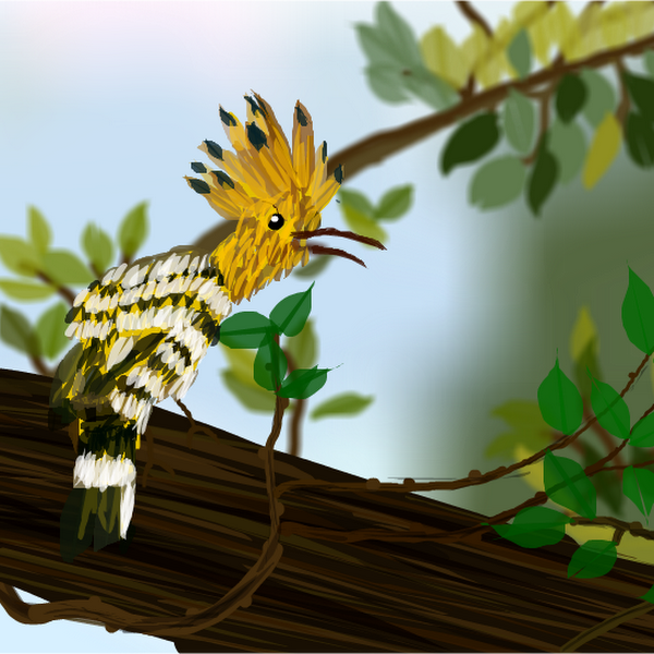 Weird Bird? » drawings » SketchPort