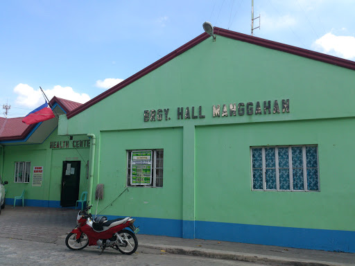 Barangay Hall Manggahan Commercial Building Portal in Tierra Grande ...