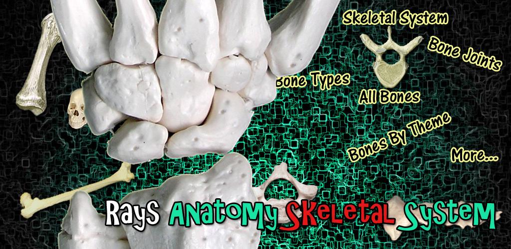 Rays Anatomy Skeletal System - Latest version 1.0 for Android App Medical