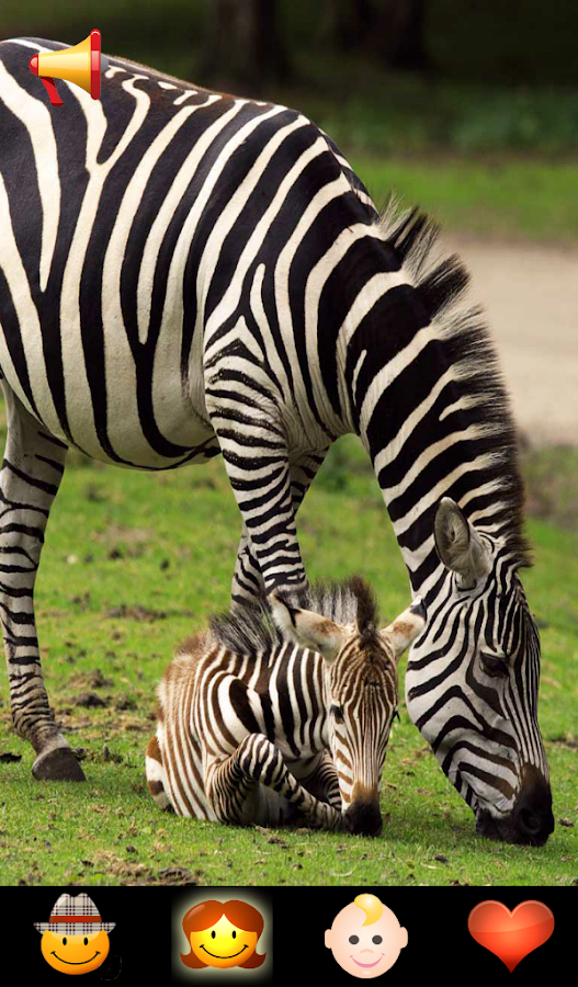 ZOOLA Animals - FREE - Android Apps on Google Play