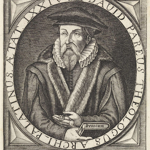 Portret van David Pareus, Paul de Zetter, 1622 - 1624 - Rijksmuseum