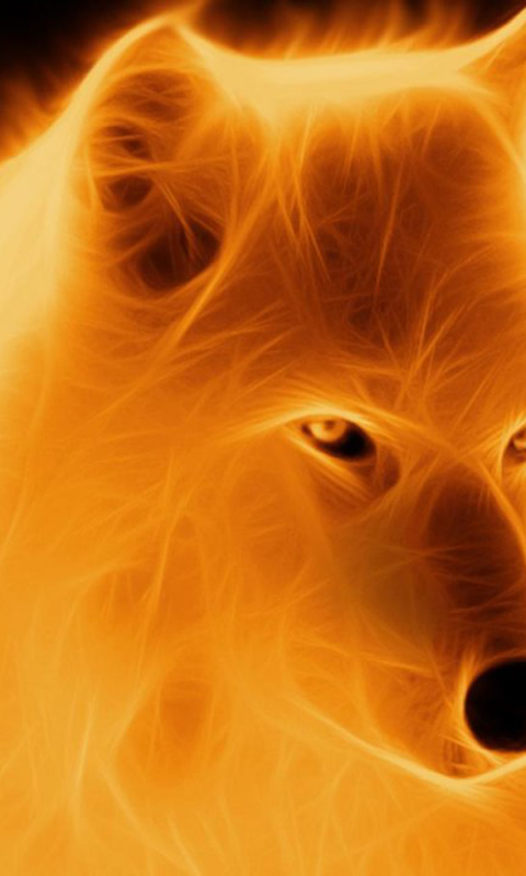 Fotos de lobos 3D HD - Imagui