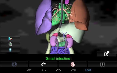 Organs 3D (Anatomy) - Android Apps on Google Play