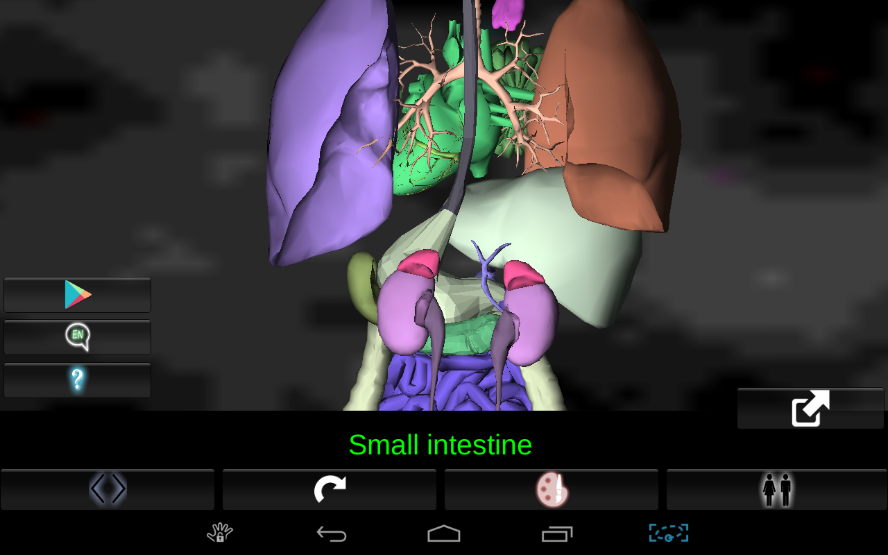 Organs 3D (Anatomy) - Android Apps on Google Play