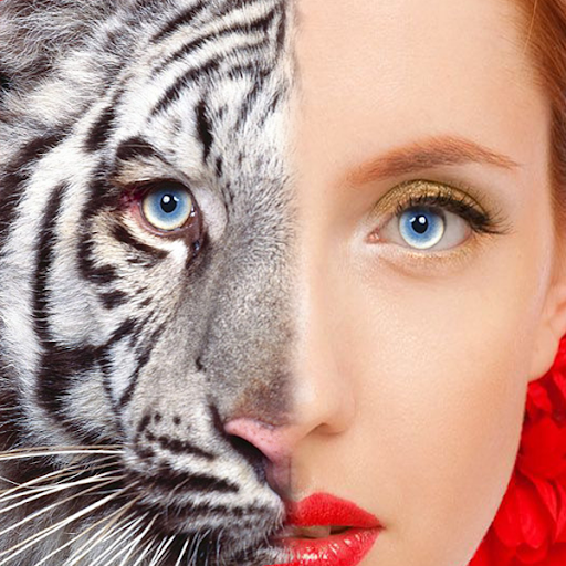 Download Magic Face Google Play softwares - aCJXqDuC94hv | mobile9