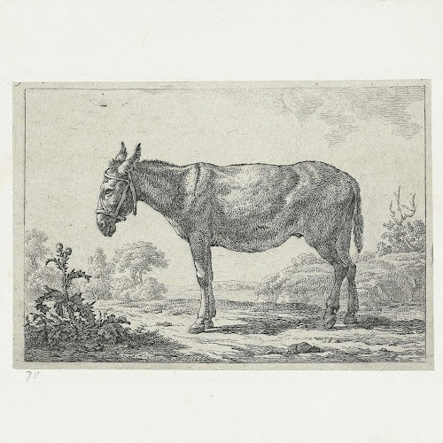 Staande ezel bij distel, Frédéric Théodore Faber, 1828 - 1831 - Rijksmuseum
