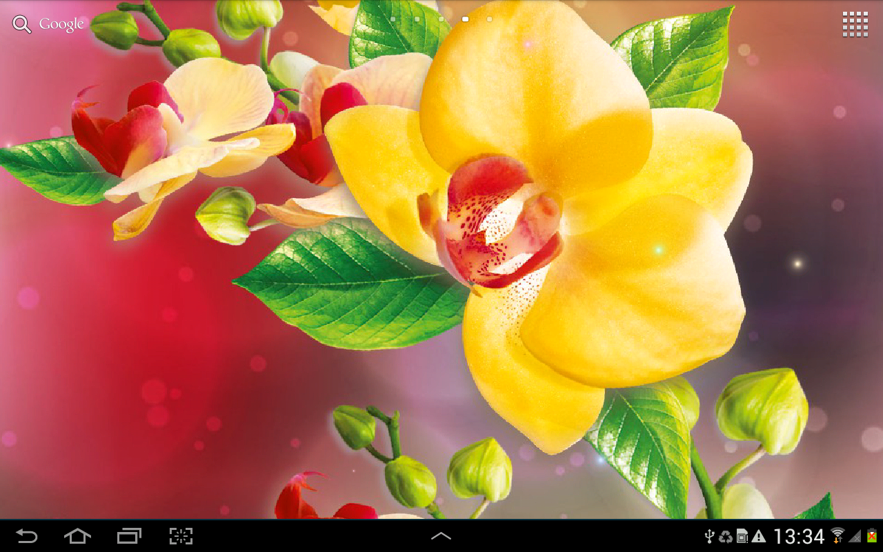 Orchids Wallpaper – Android-Apps auf Google Play