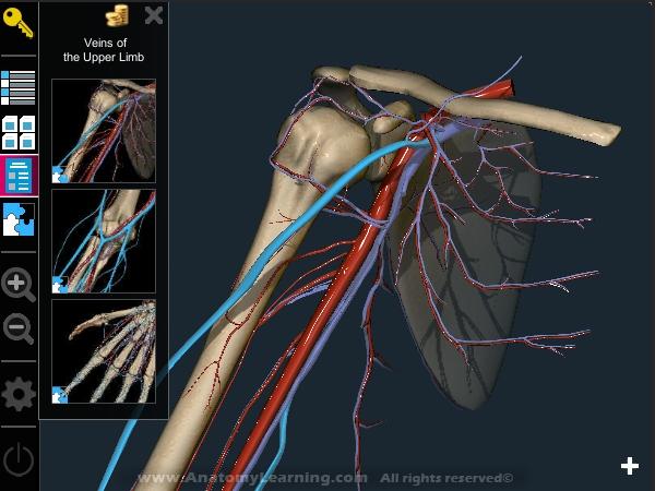 Anatomy Learning - 3D Atlas - Aplicaciones de Android en Google Play