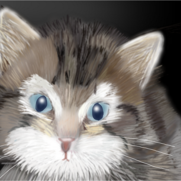 Meow » drawings » SketchPort