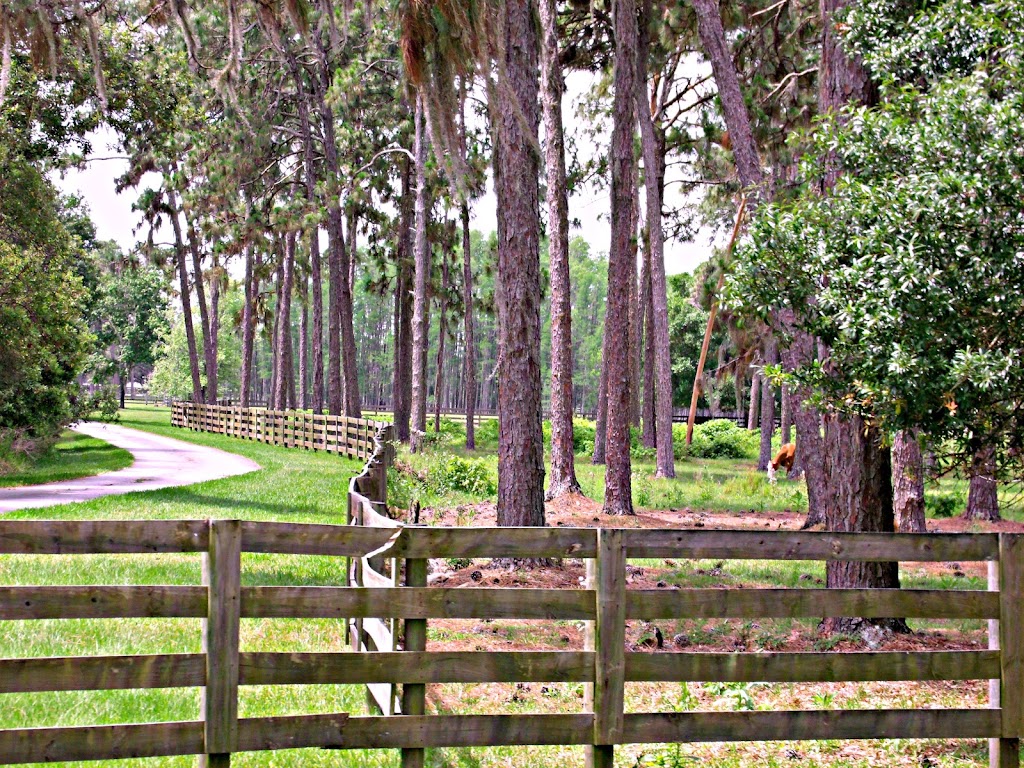 Photo Contest: Fences only | Pixoto