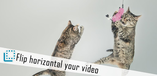 20 تطبيق ترفيهي من Bizo Mobile للأندرويد للخدع السحرية والترفيهيه ...