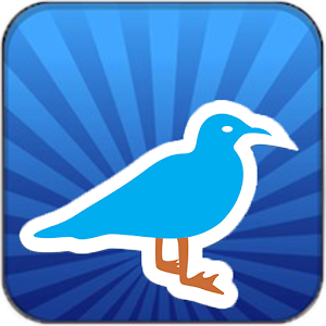 raging bird game - Latest version for Android - Download APK