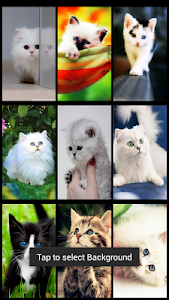 Cat Pattern Screen Lock – Classy Pattern Screen Lock with Adorable ...