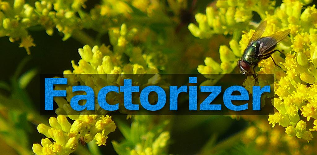 factorizer by johan henricsson - Latest version 1.3 for Android App Tools